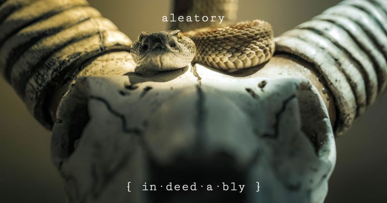 Aleatory - { in·deed·a·bly }